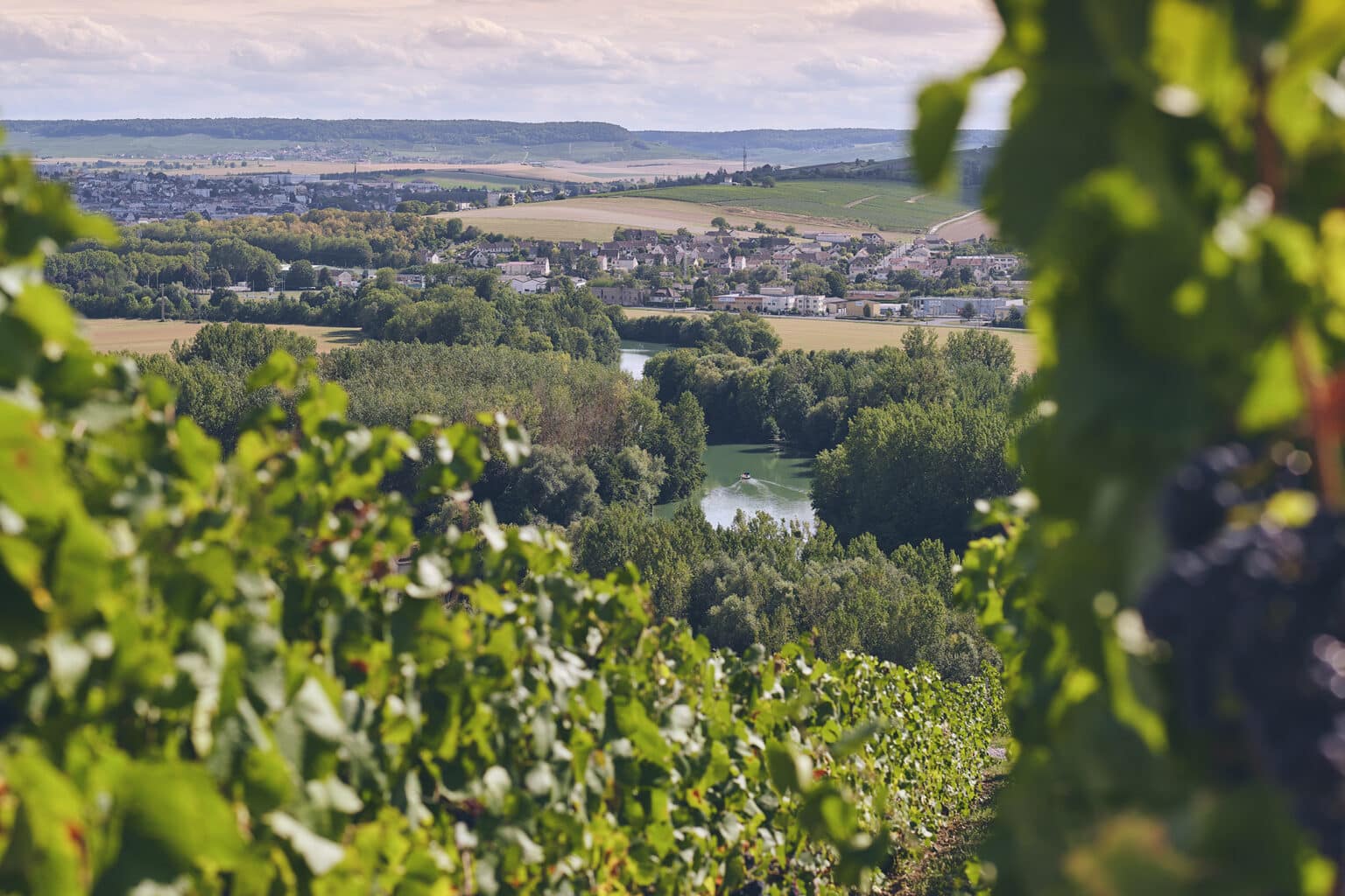 The villages and towns of the Champagne region invite you to taste the ...