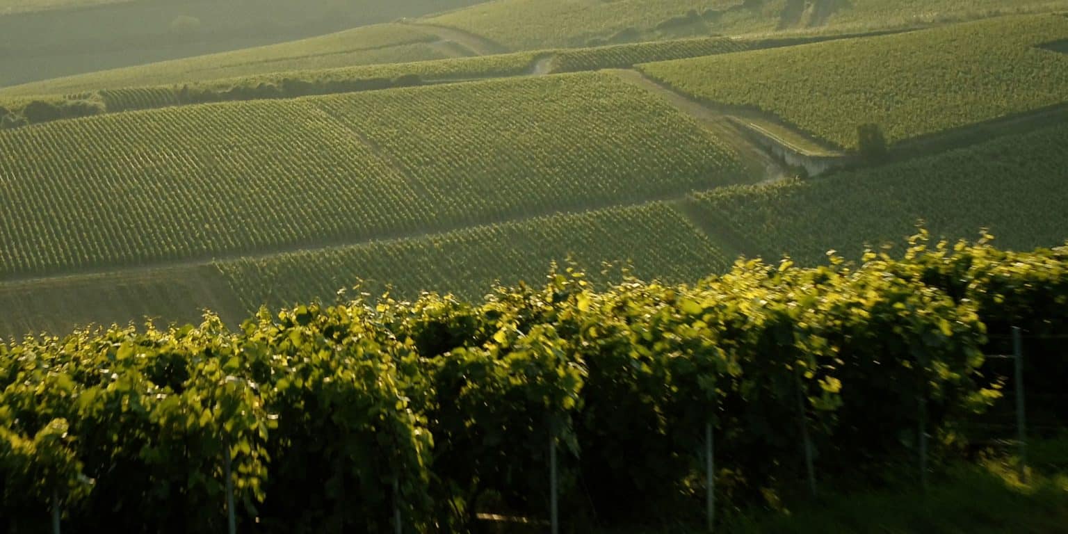 Champagne Region official tourist office with information on Champagne ...