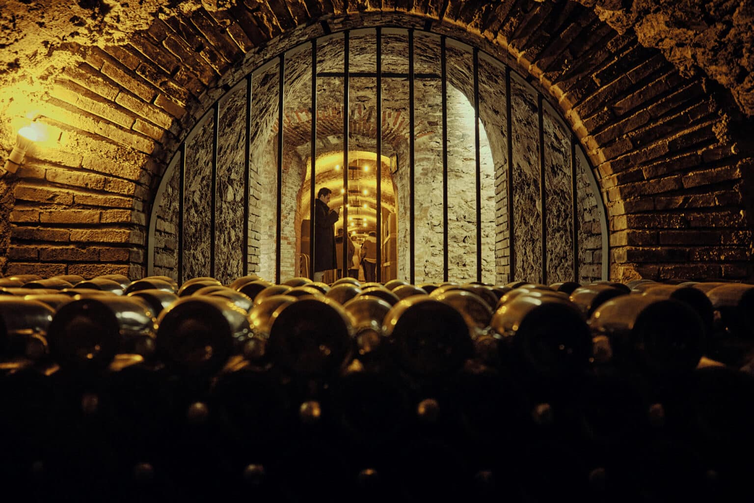 Champagne houses and winegrowers' estates with cellars